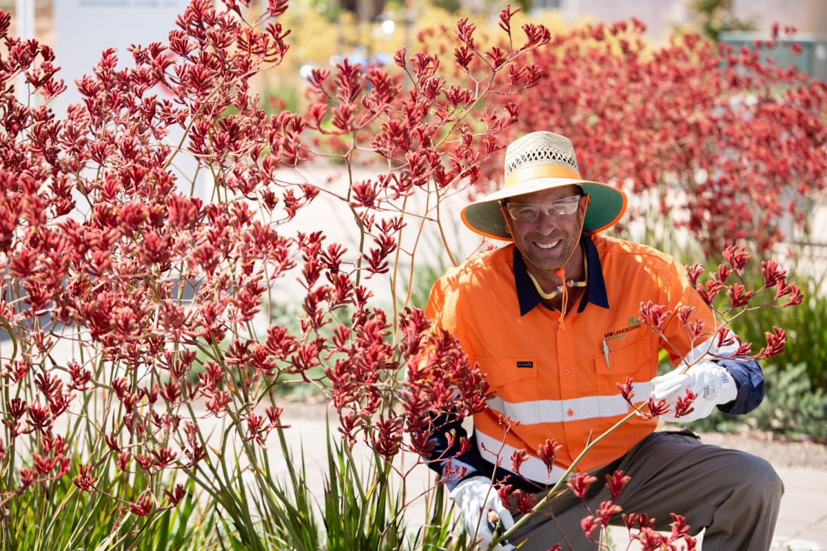 Capabilities - LCS Landscapes