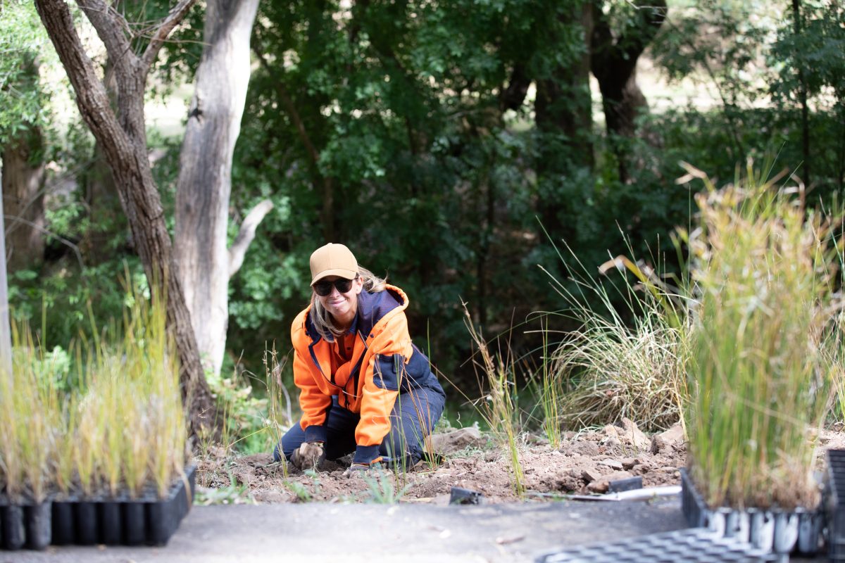 Capabilities - LCS Landscapes